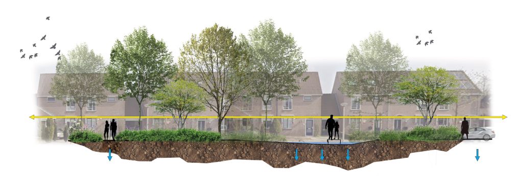 Park Enschede Akshoek groenbeleid - Interpro